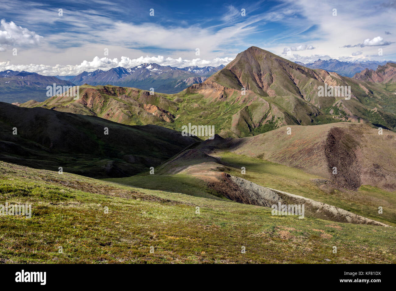 USA, Alaska, Denali, Denali National Park, some of the breathtaking ...
