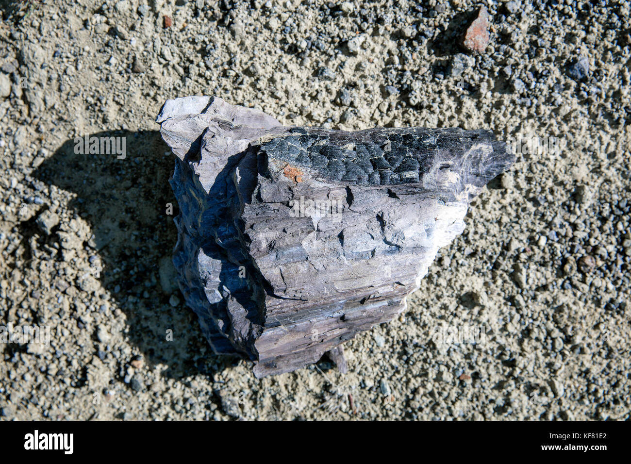 USA, Alaska, Denali, Denali National Park, some of the breathtaking ...