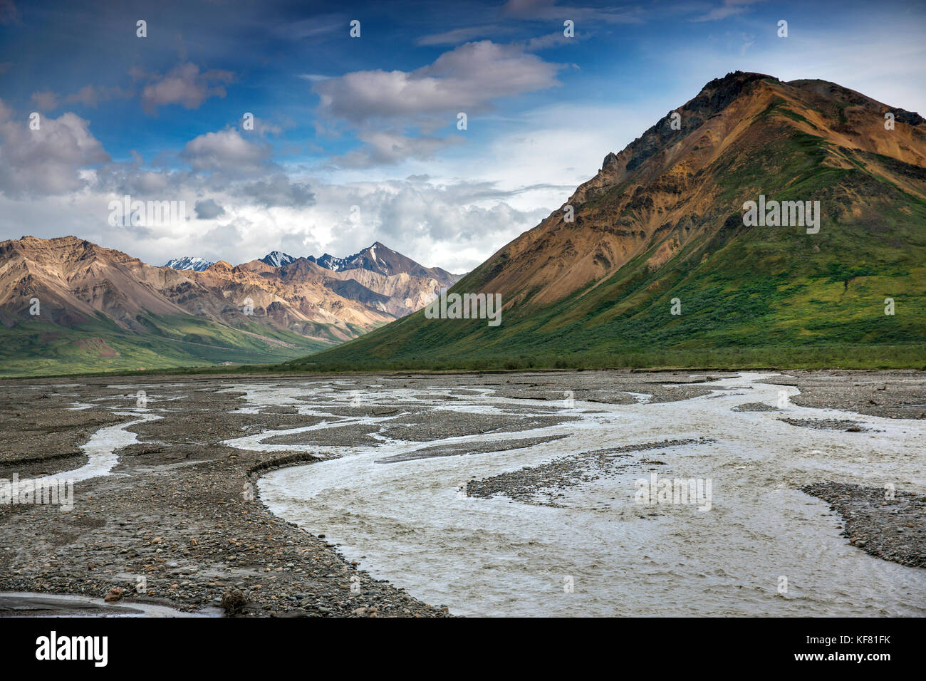 USA, Alaska, Denali, Denali National Park, the scenic Toklat River ...