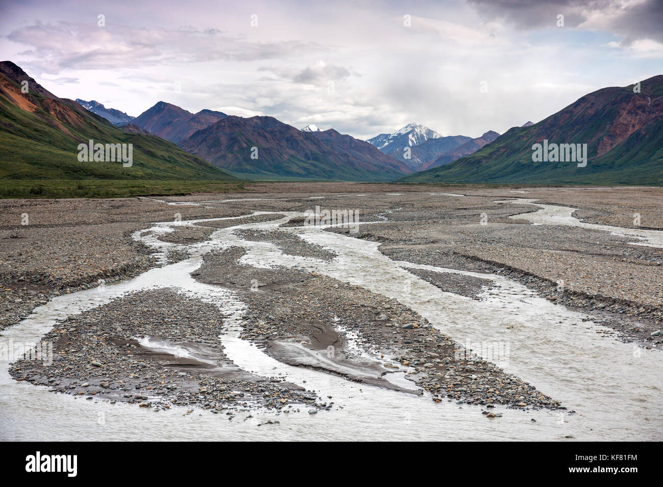 USA, Alaska, Denali, Denali National Park, the scenic Toklat River ...