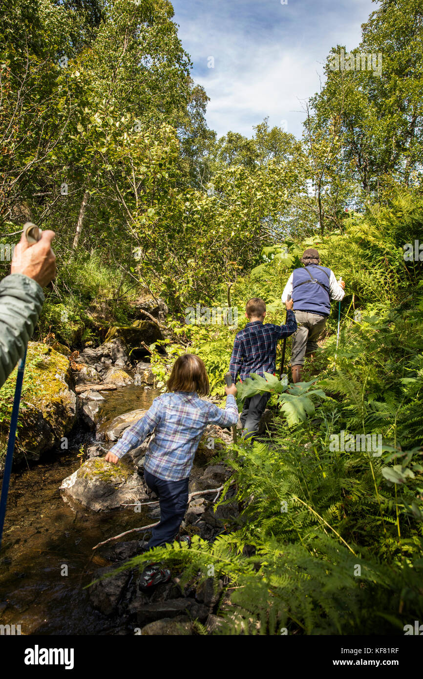 USA, Alaska, Redoubt Bay, Big River Lake, hiking on the bear trails to ...