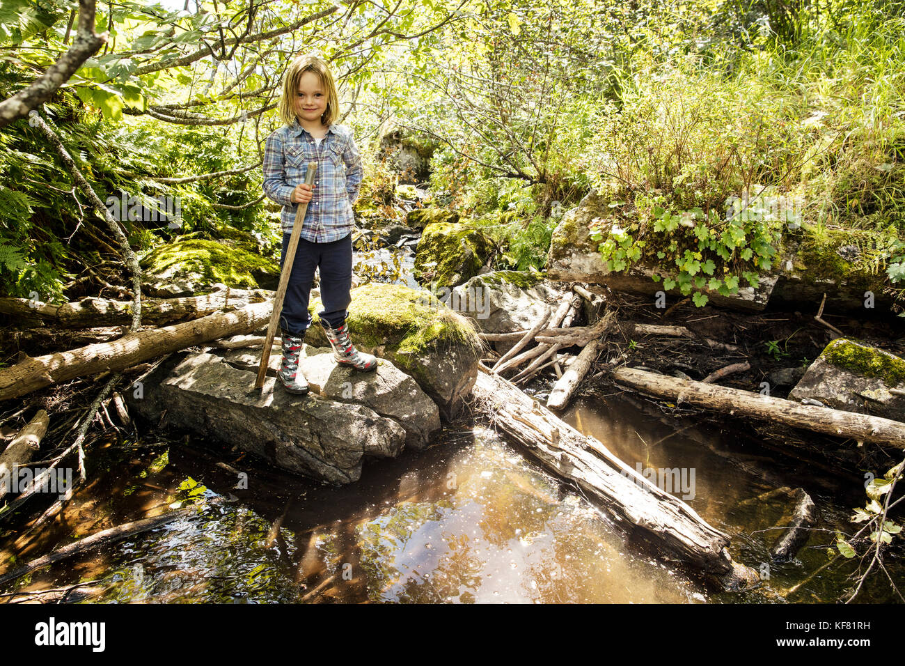 USA, Alaska, Redoubt Bay, Big River Lake, hiking on the bear trails to ...