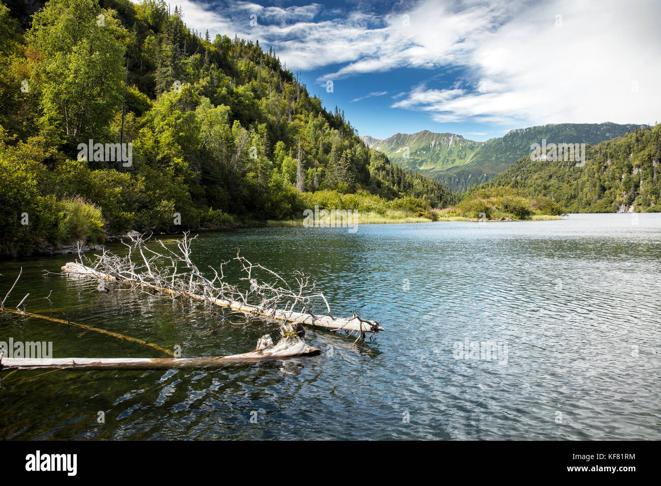 USA, Alaska, Redoubt Bay, Big River Lake, the scenery surrounding ...