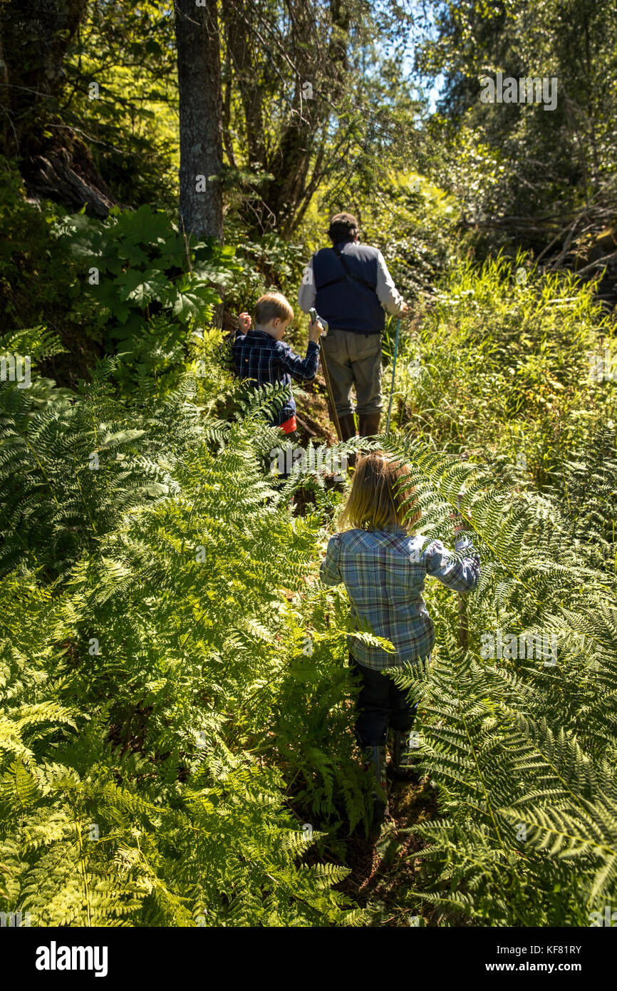 USA, Alaska, Redoubt Bay, Big River Lake, hiking on the bear trails to ...