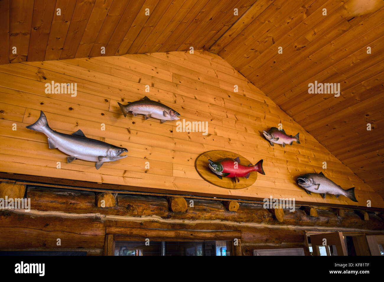 USA, Alaska, Redoubt Bay, Big River Lake, the cabins at Redoubt Bay ...