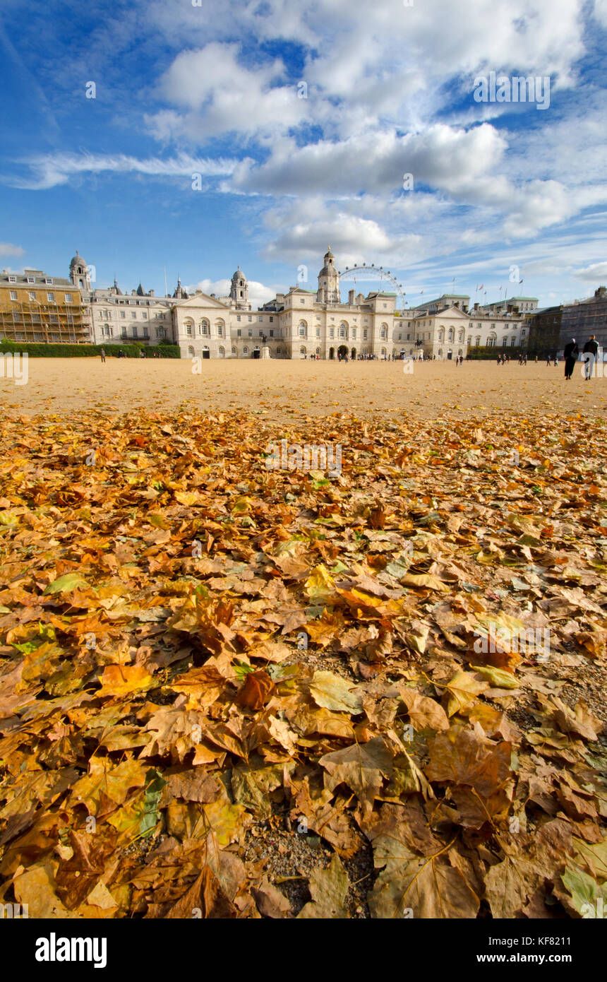 London, England, UK. Autumn leaves covering Horse Guards Parade Stock ...