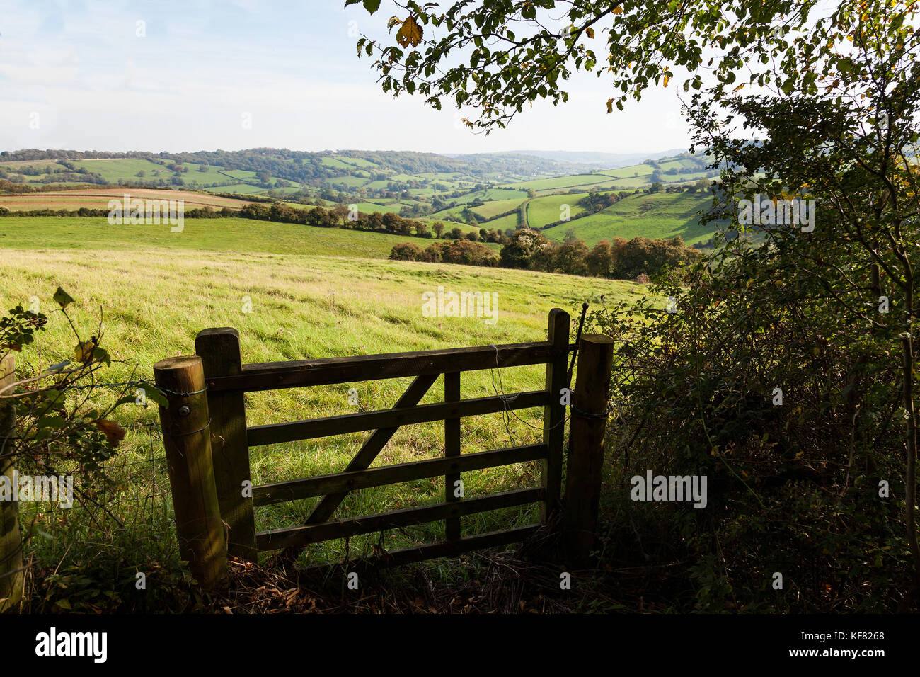 View of a farm gate leading into lush green countryside Stock Photo - Alamy