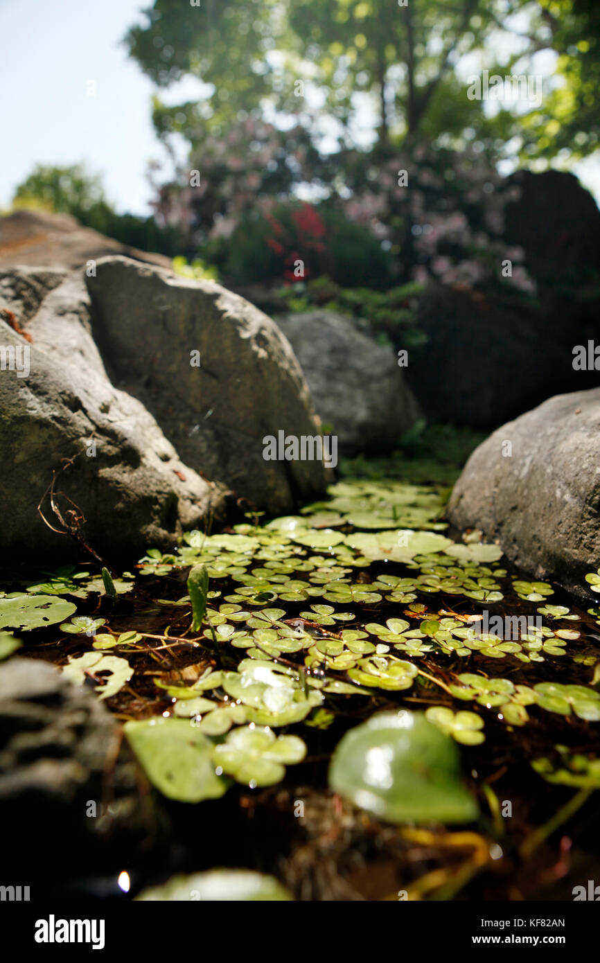 USA, California, Healdsburg, on the grounds of Ferrari-Carano winery ...