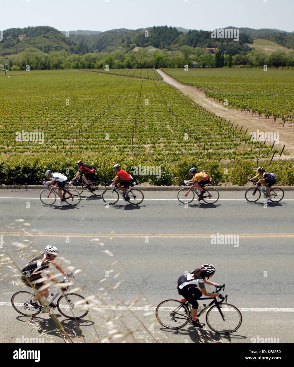 Cyclists in race on rural hi-res stock photography and images - Alamy