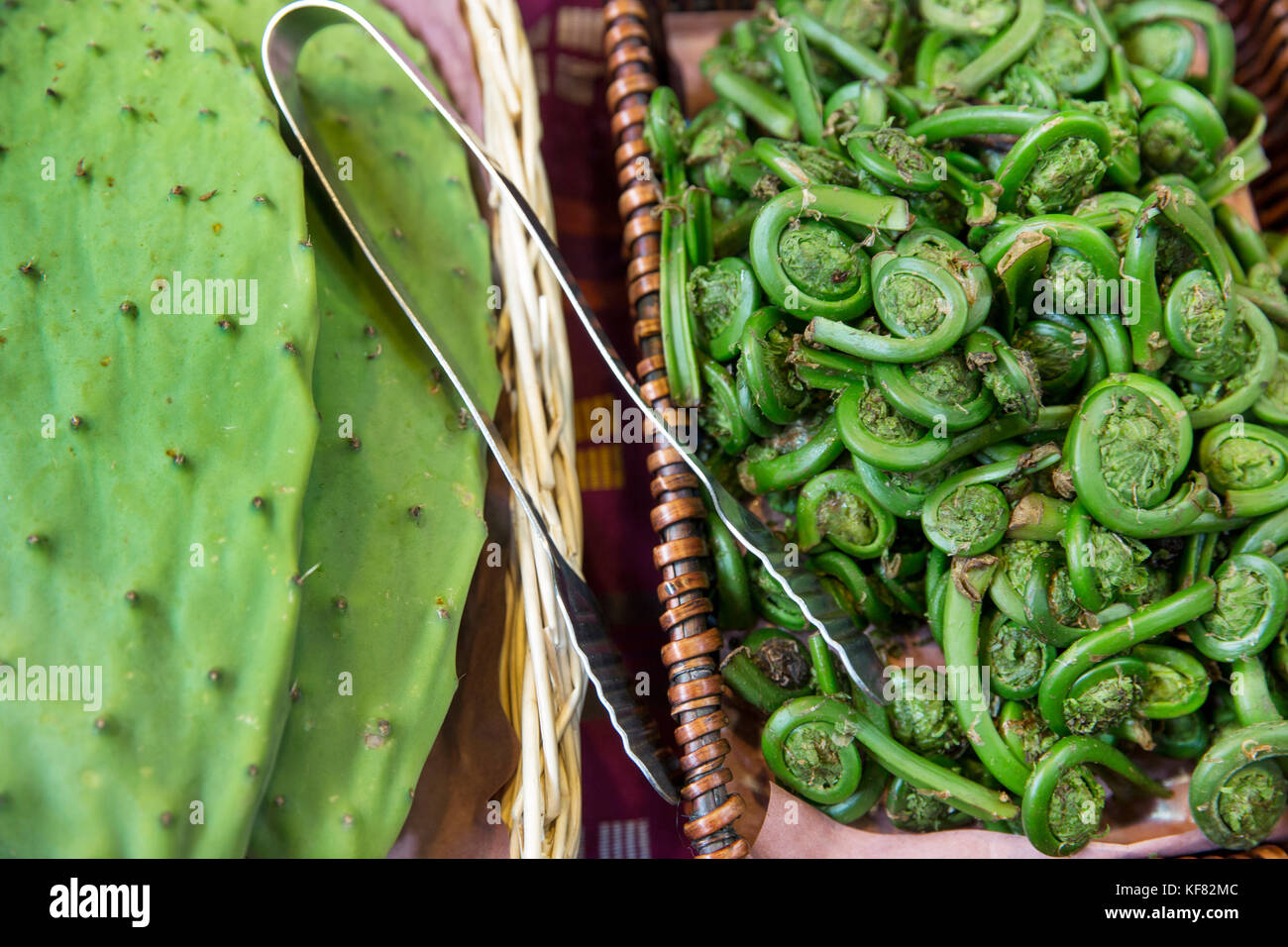 Vancouver Island Greens High Resolution Stock Photography and Images ...