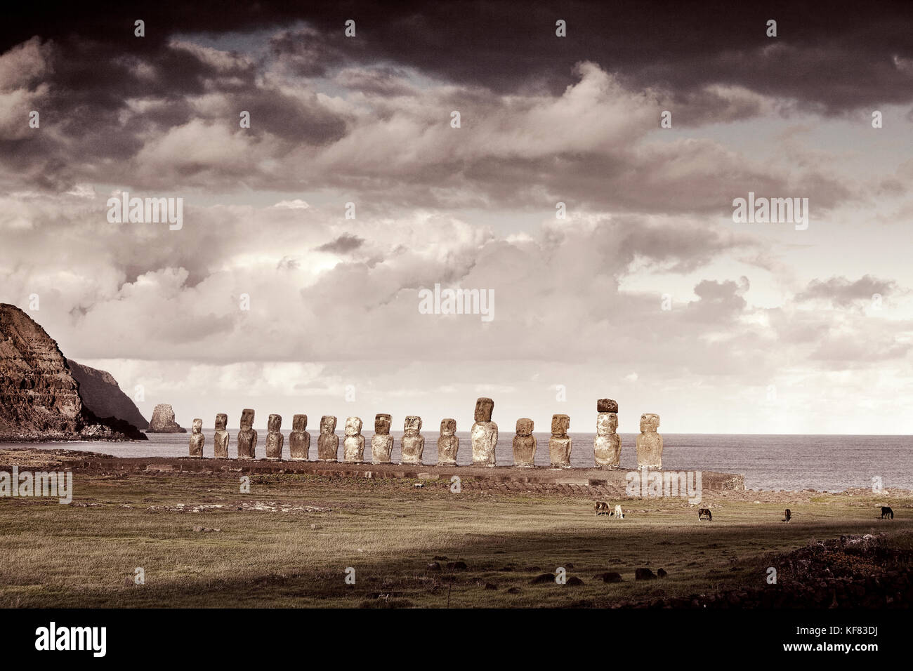 EASTER ISLAND, CHILE, Isla de Pascua, Rapa Nui, horses graze in front ...