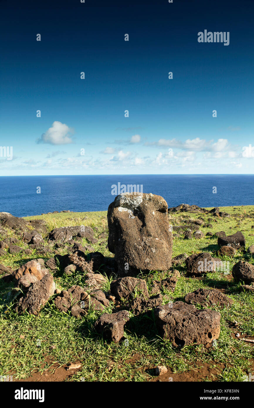 EASTER ISLAND, CHILE, Isla de Pascua, Rapa Nui, single Moai head near ...
