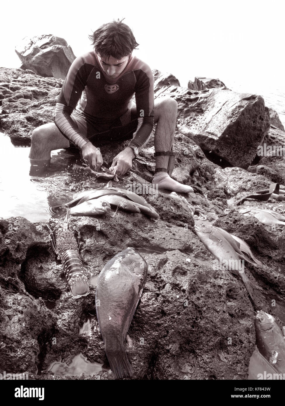 Spearfishing wetsuits High Resolution Stock Photography and Images - Alamy