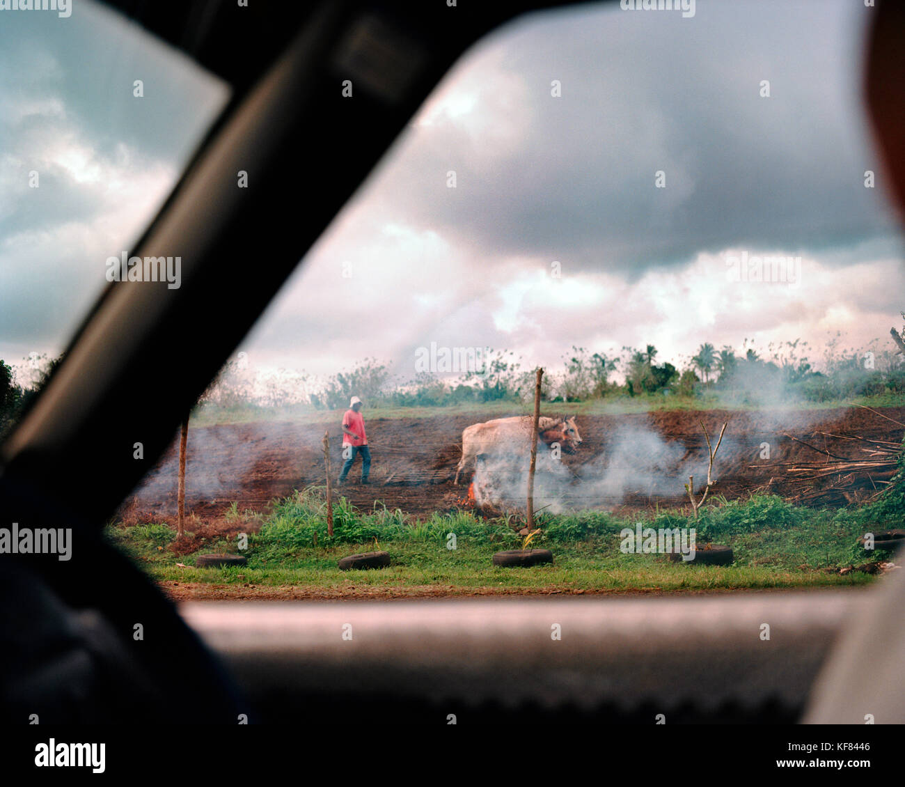 FIJI, Northern Lau Islands, view through a taxi window of a farmer and ...