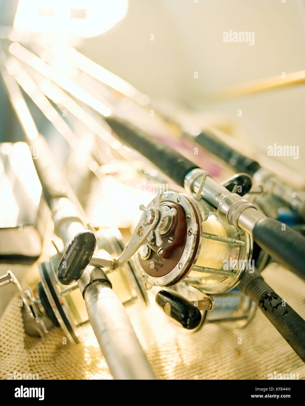 Usa florida fishing rods hi-res stock photography and images - Alamy