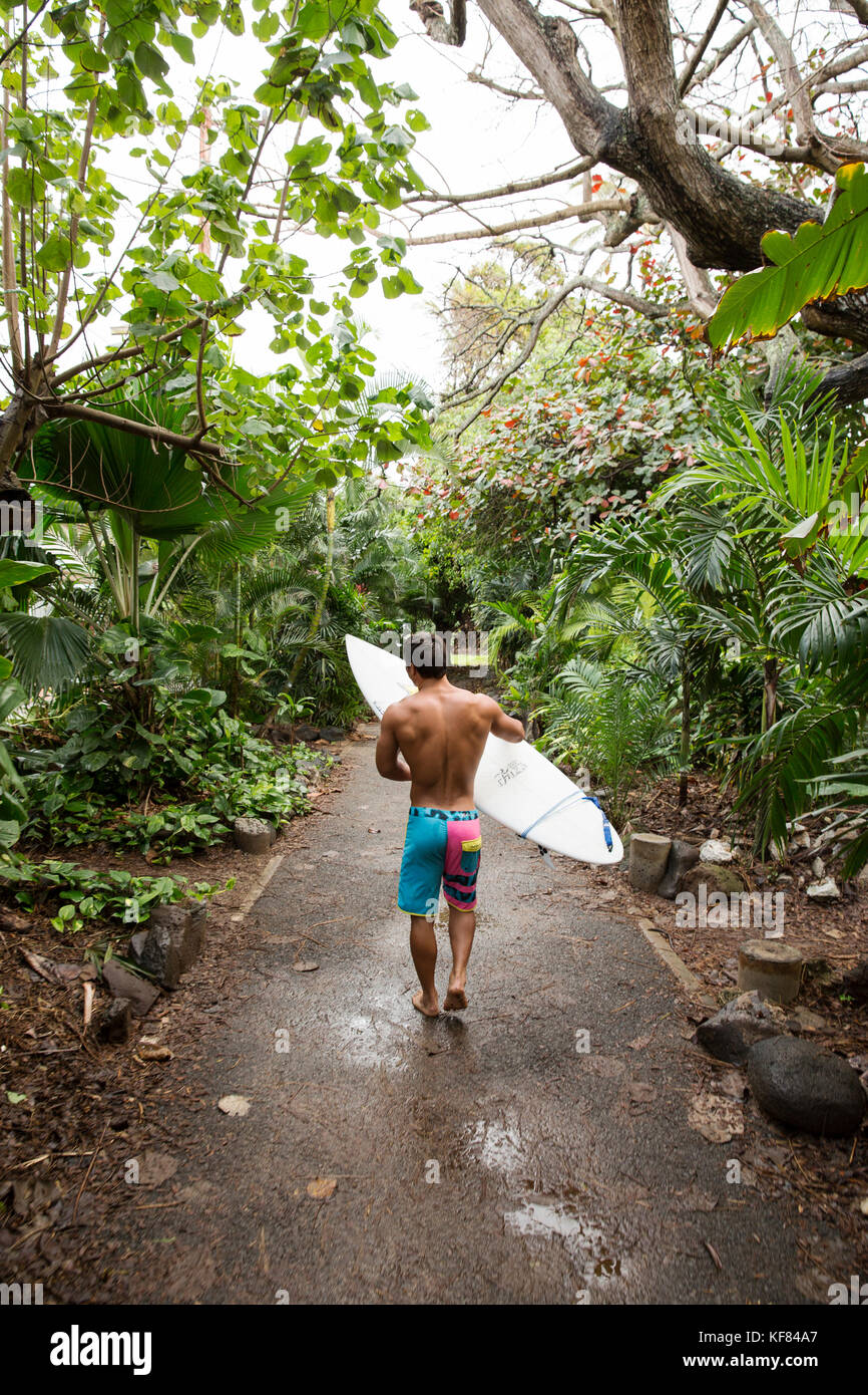 USA, Oahu, Hawaii, MMA Mixed Martial Arts Ultimate fighter Lowen ...