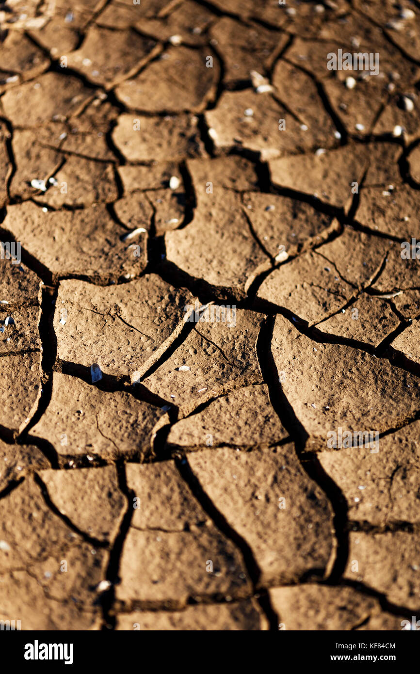 Cracks in drought affected earth Stock Photo - Alamy