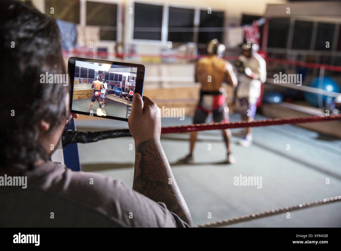 USA, Oahu, Hawaii, professional boxers spar at a training gym in ...