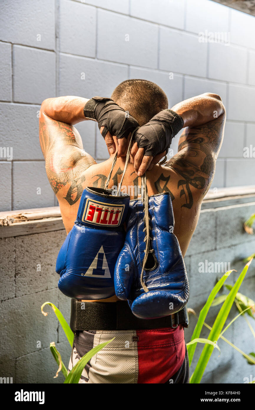 USA, Oahu, Hawaii, portrait of professional boxer Mike Balasi in a ...