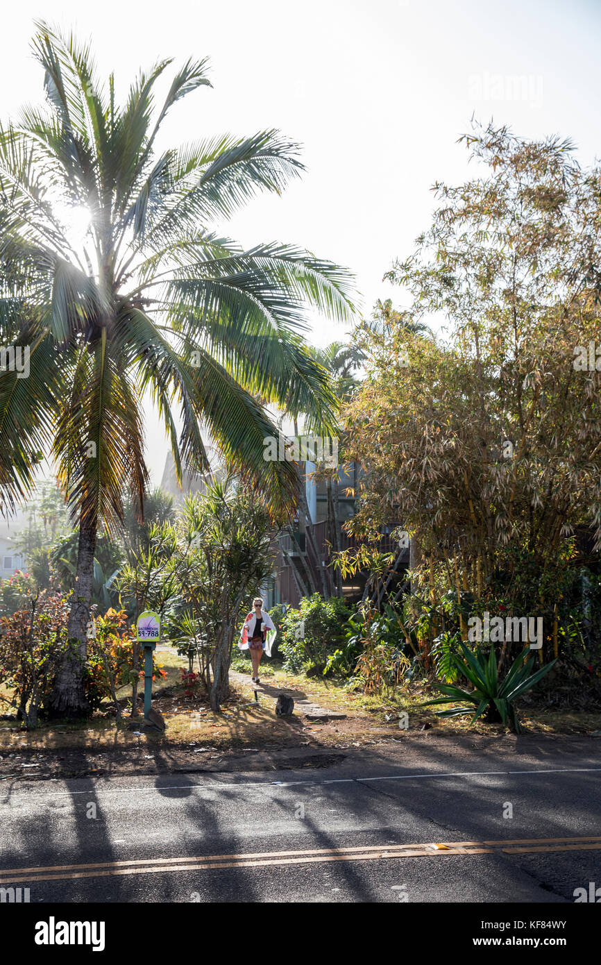 HAWAII, Oahu, North Shore, woman walking through the trees in the early ...