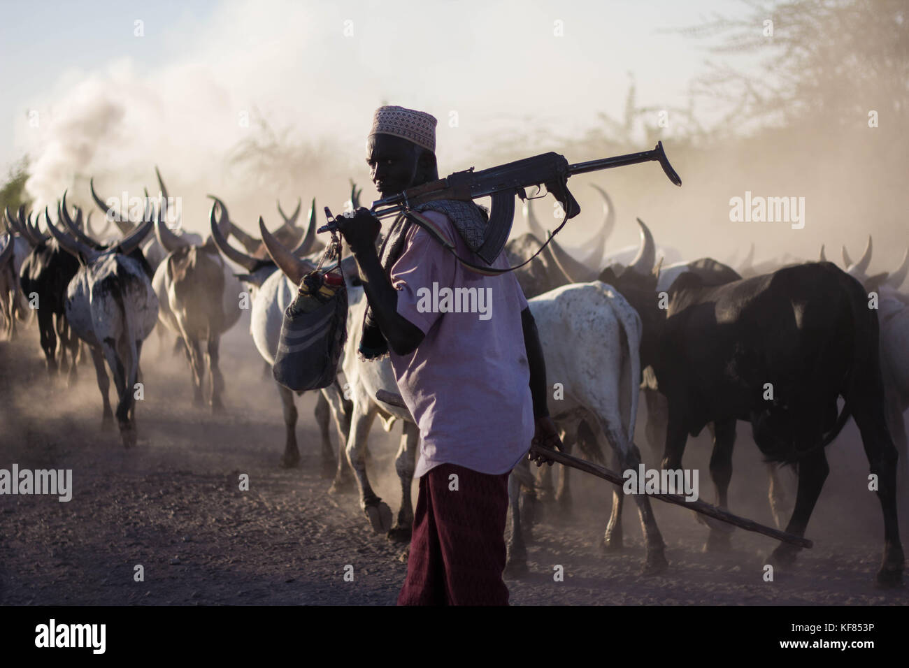 Afar shepherd holding a automatic gun on his shoulder bringing the ...