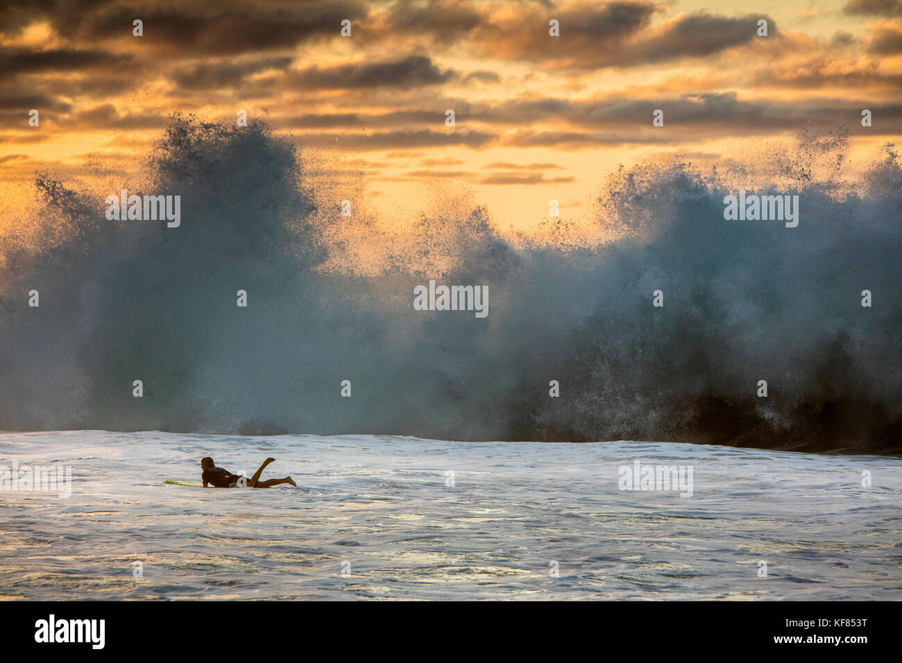 HAWAII, Oahu, North Shore, Big Wave surfer Jamie O'Brien surfing at ...