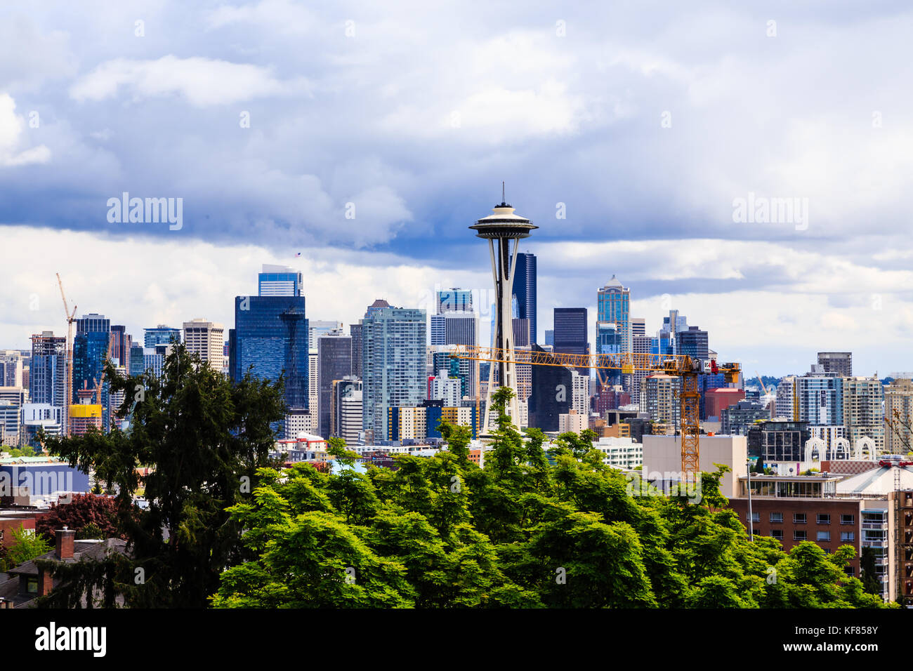 Seattle Beyond Trees with Construction Cranes Stock Photo - Alamy