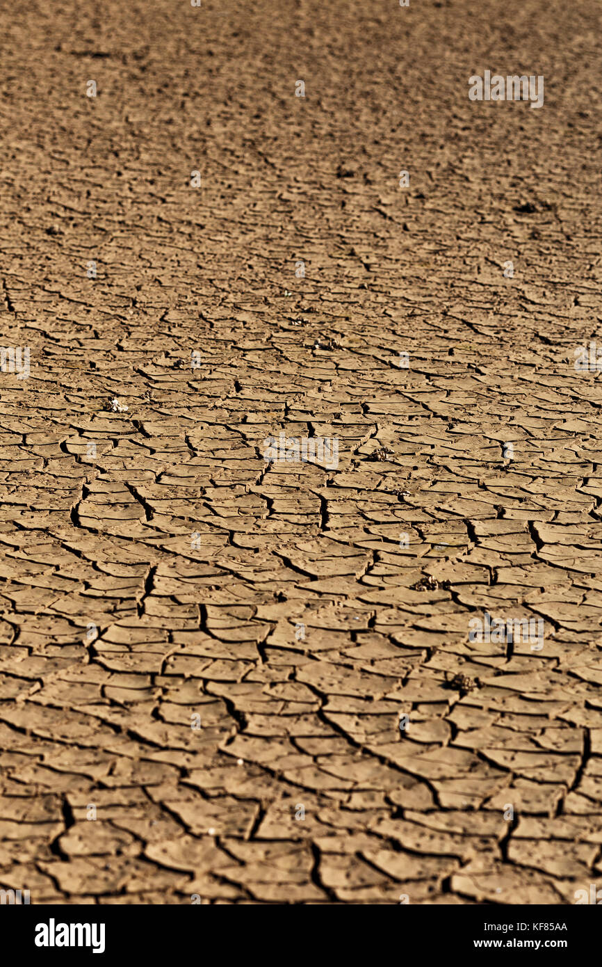 Cracks in drought affected earth Stock Photo - Alamy
