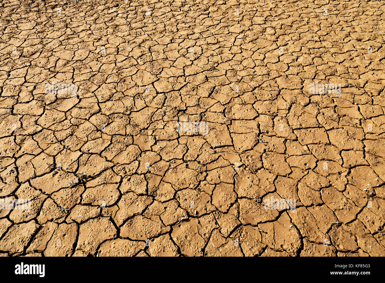 Cracks in drought affected earth Stock Photo - Alamy