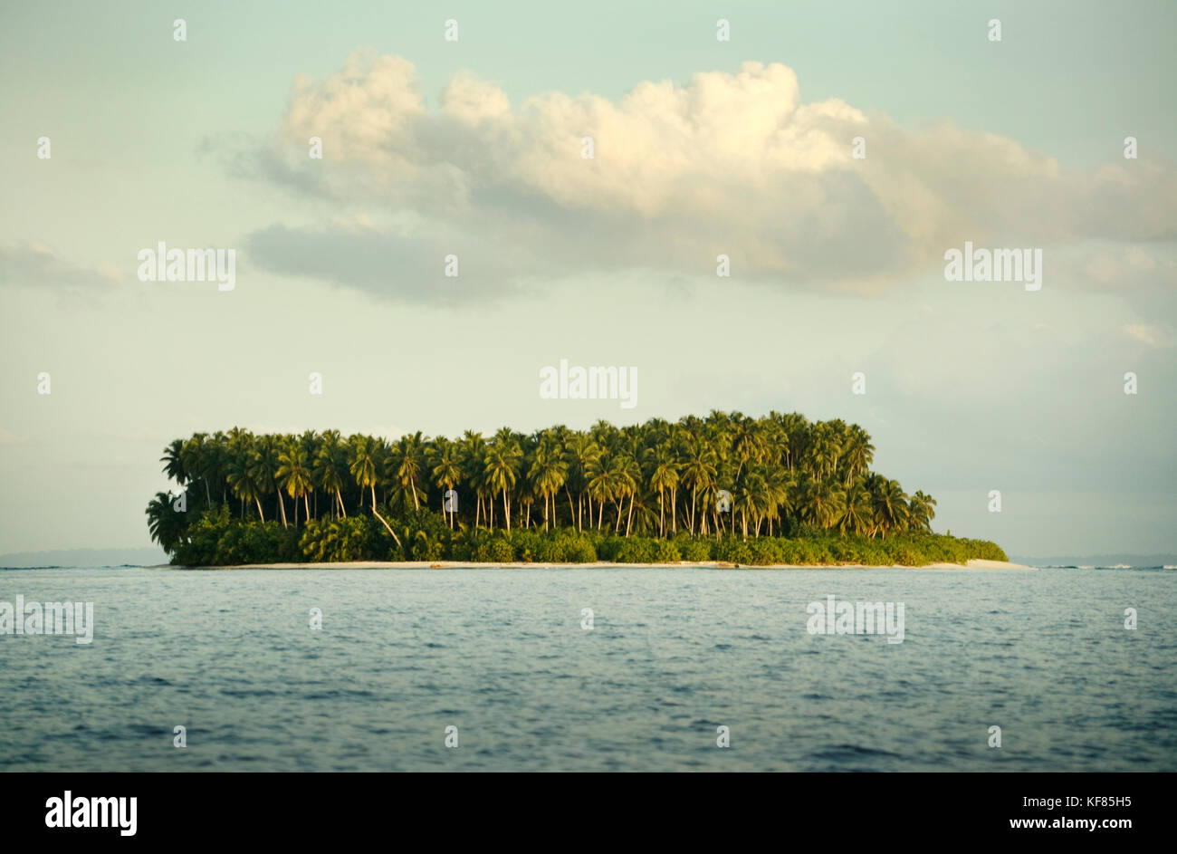 INDONESIA, Mentawai Islands, Kandui Resort, an island covered in palm ...