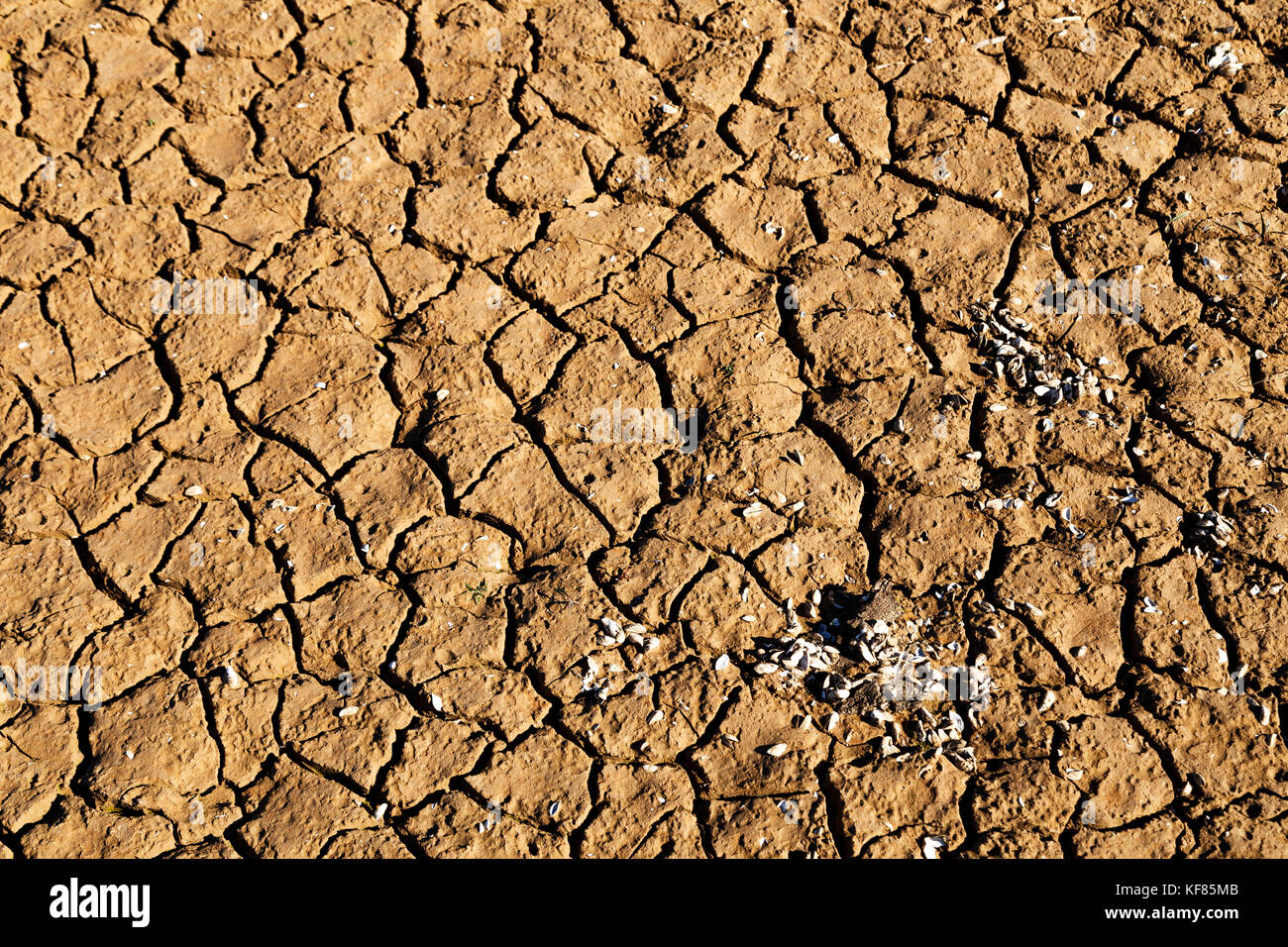 Cracks in drought affected earth Stock Photo - Alamy