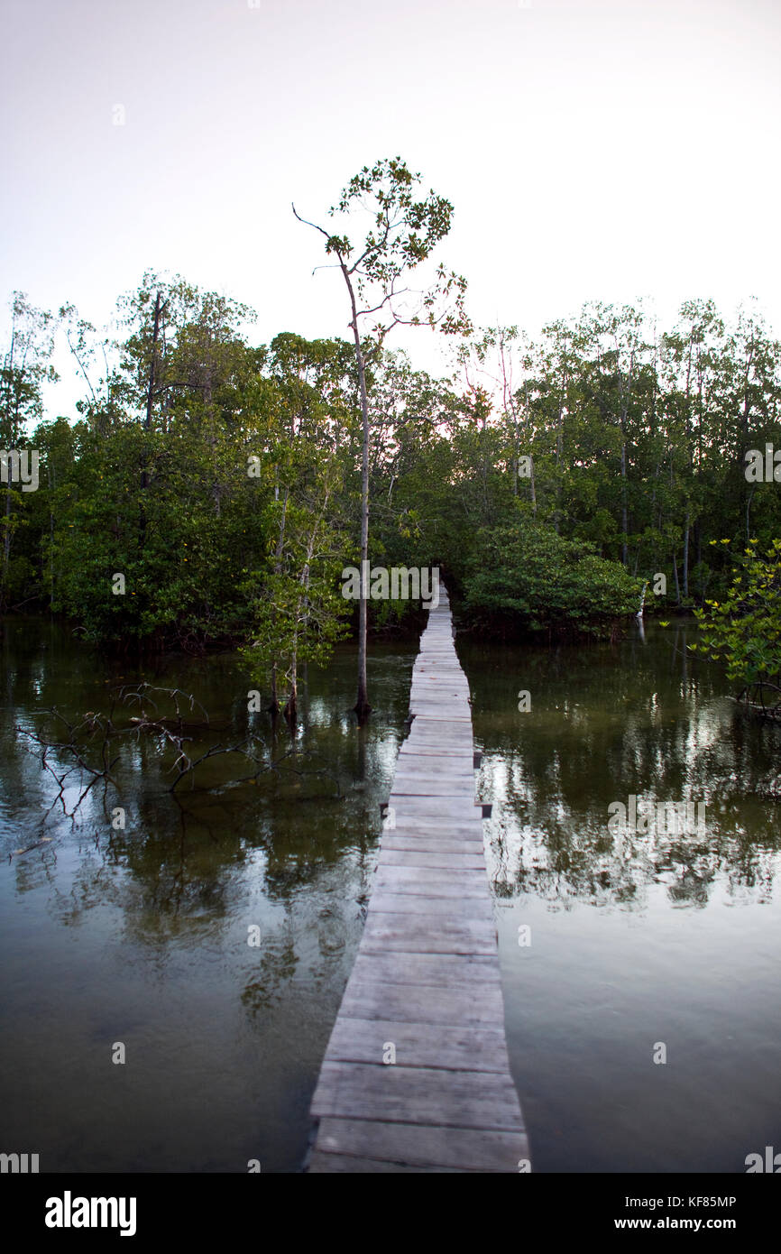 INDONESIA, Mentawai Islands, Kandui Resort, a small tsunami foot bridge ...