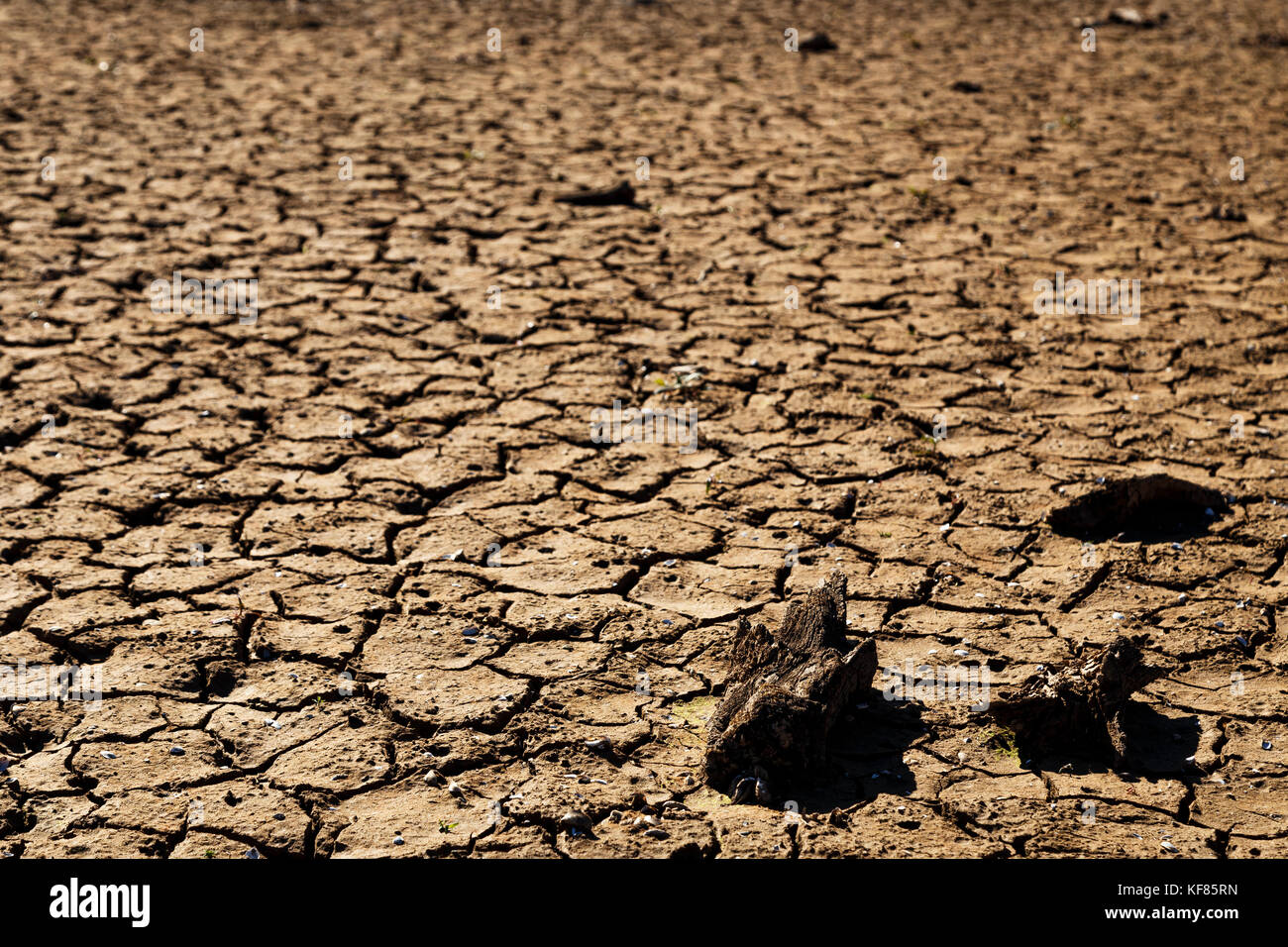 Cracks in drought affected earth Stock Photo - Alamy