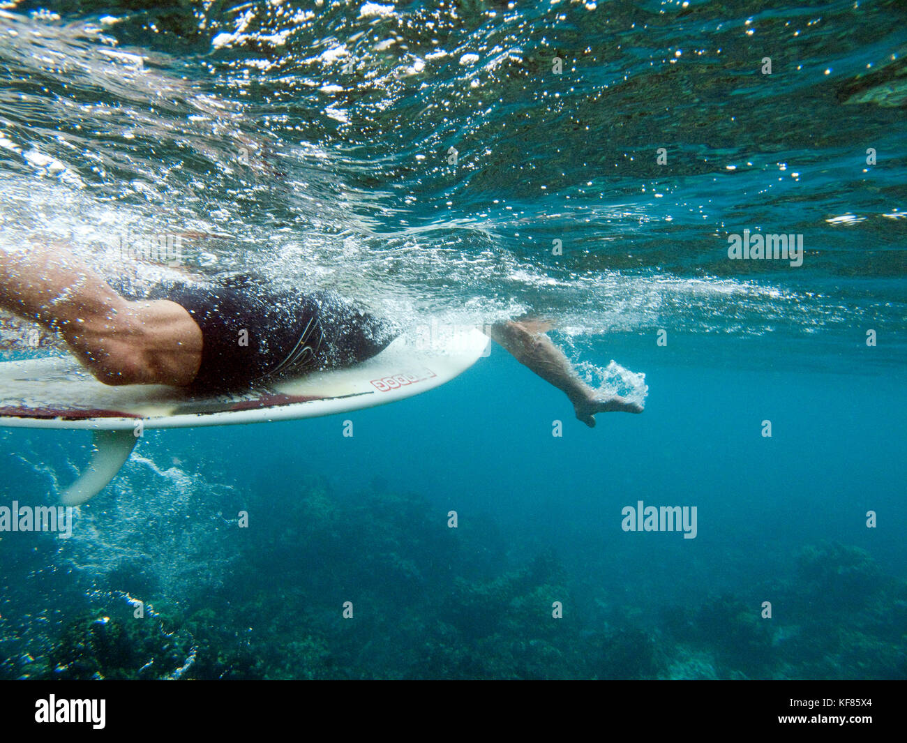 4 bobs surf hi-res stock photography and images - Alamy