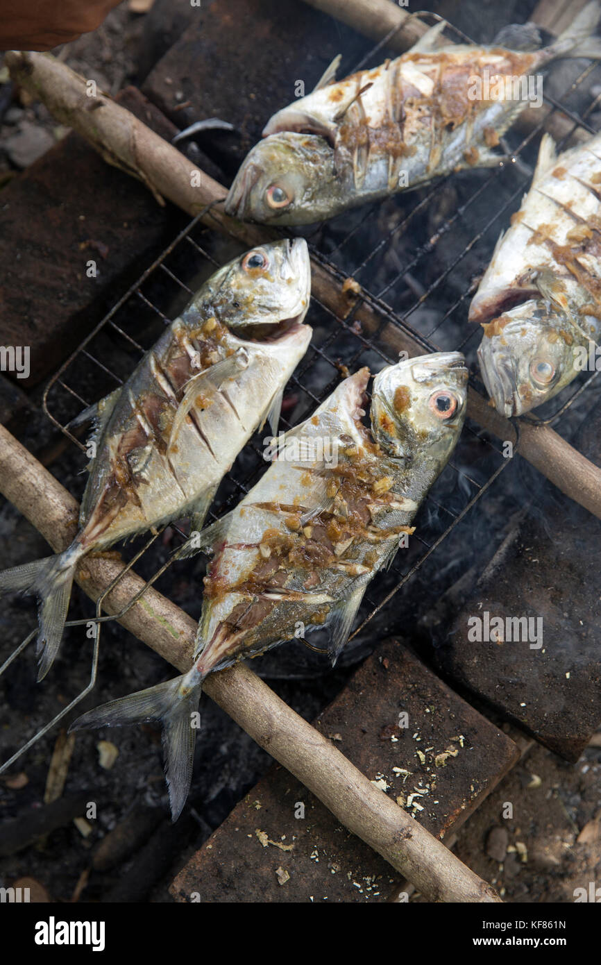 INDONESIA, Flores, Riung, cooking fish called Bang Kolong over burning ...