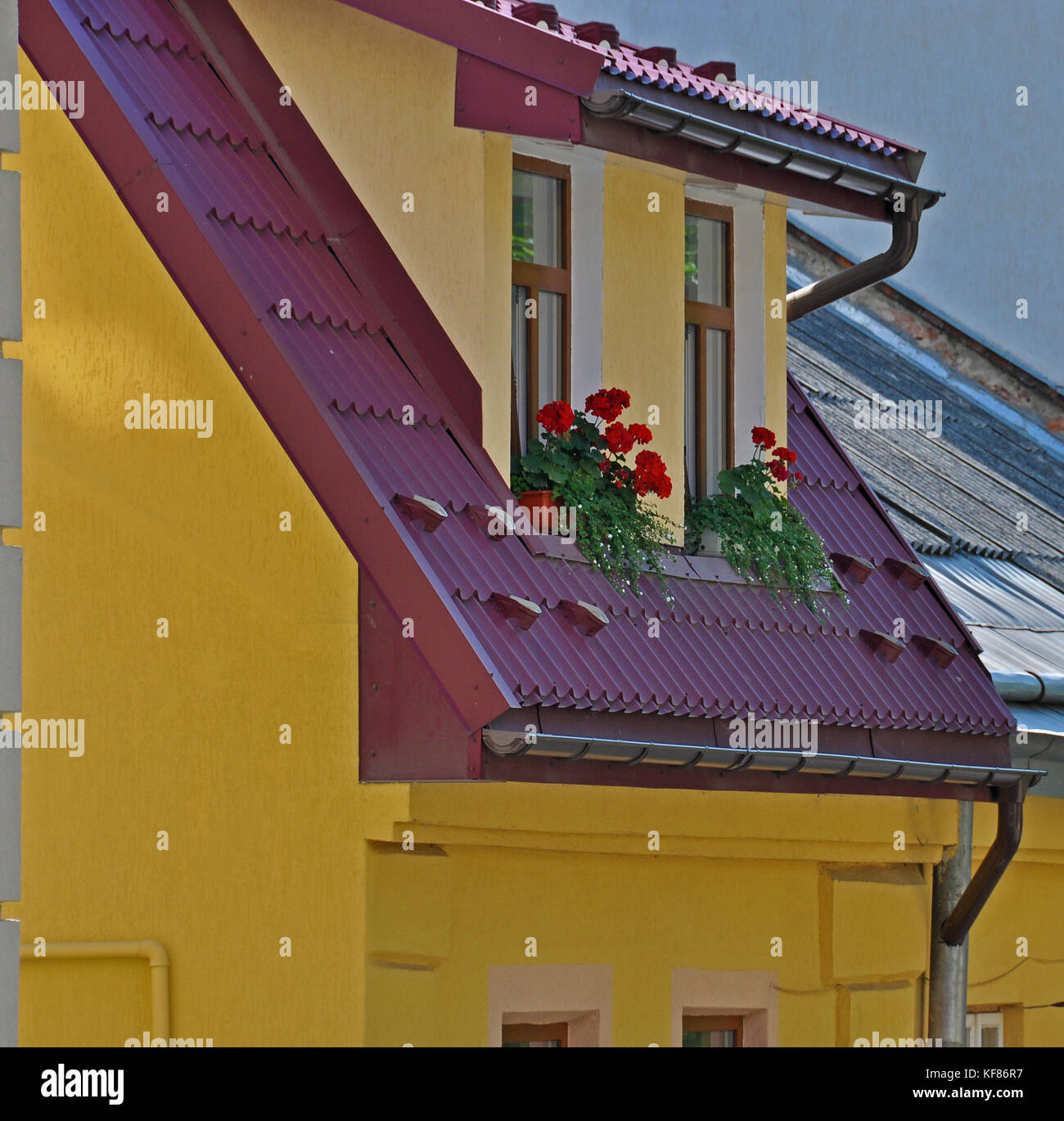 Garret windows with red flowers reminding Gerda from 'Snow Queen ...