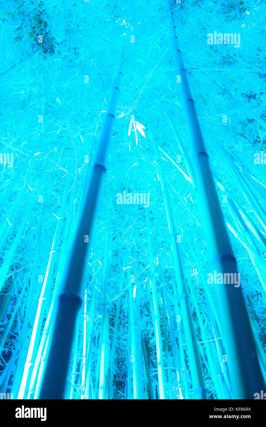 surreal gaudy atmospheric background Stock Photo - Alamy