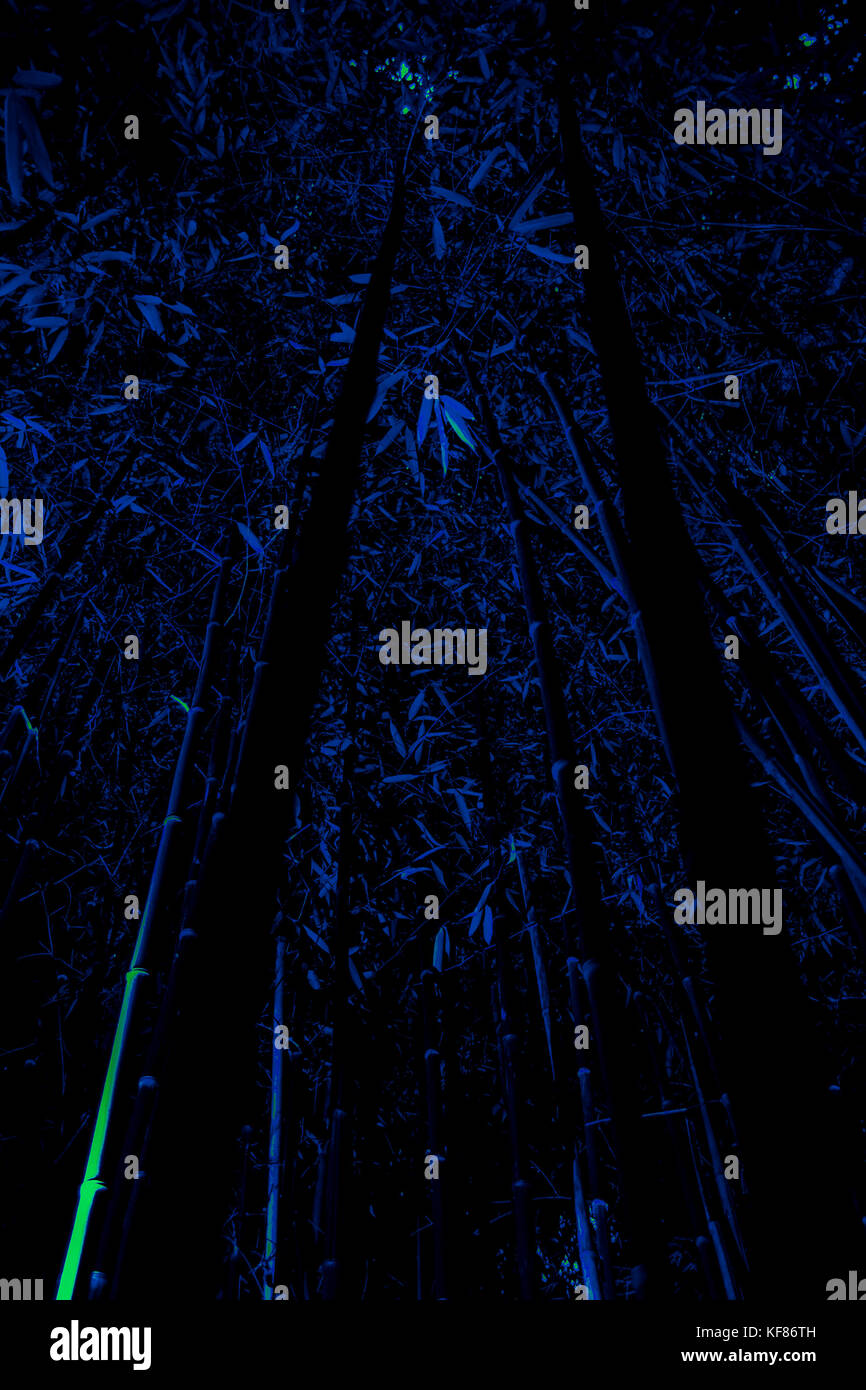 surreal gaudy atmospheric background Stock Photo - Alamy