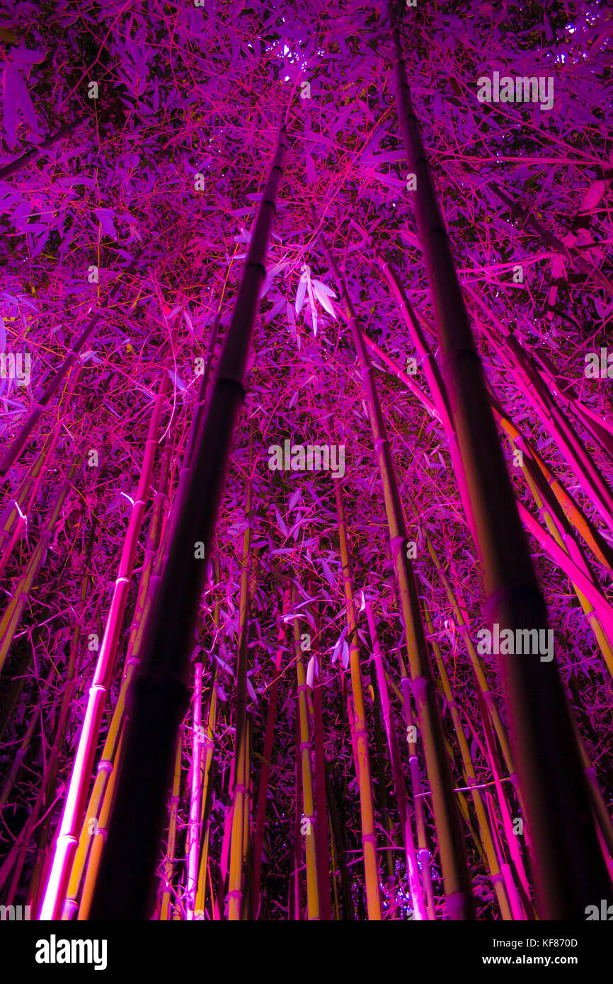 surreal gaudy atmospheric background Stock Photo - Alamy