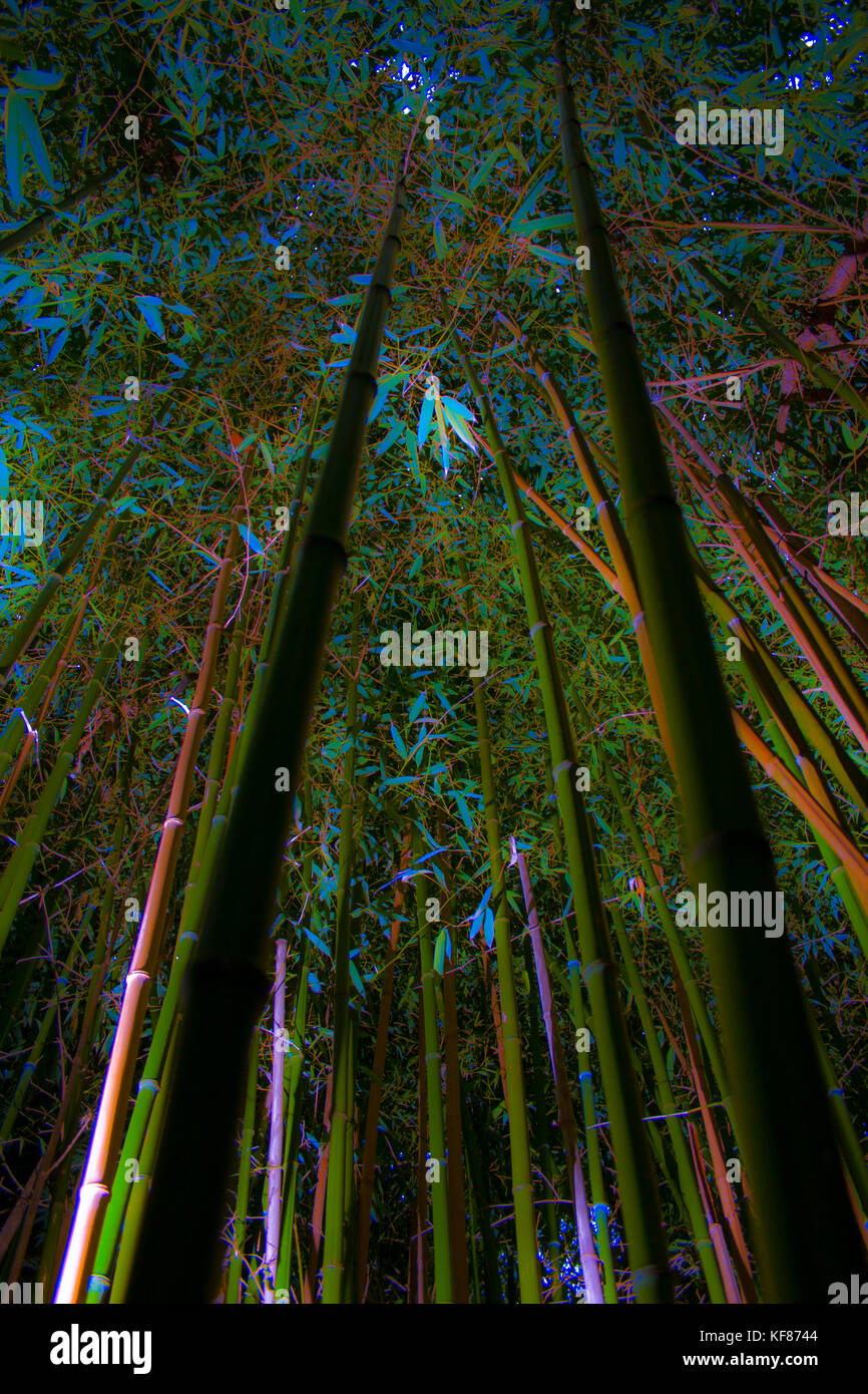 surreal gaudy atmospheric background Stock Photo - Alamy