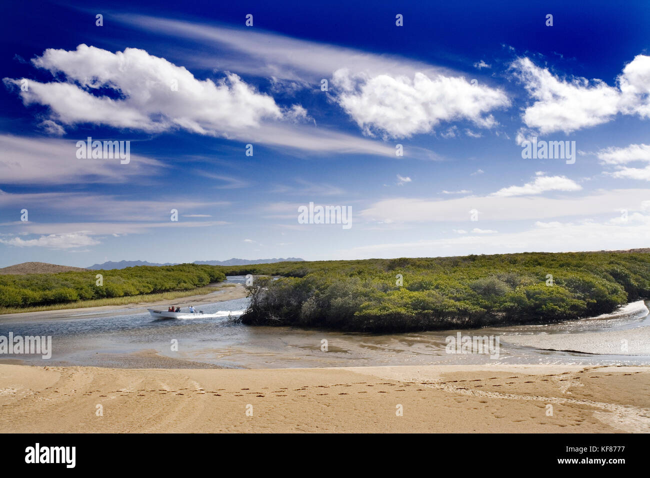 MEXICO, Baja, Magdalena Bay, Pacific Ocean, a view of the river and ...