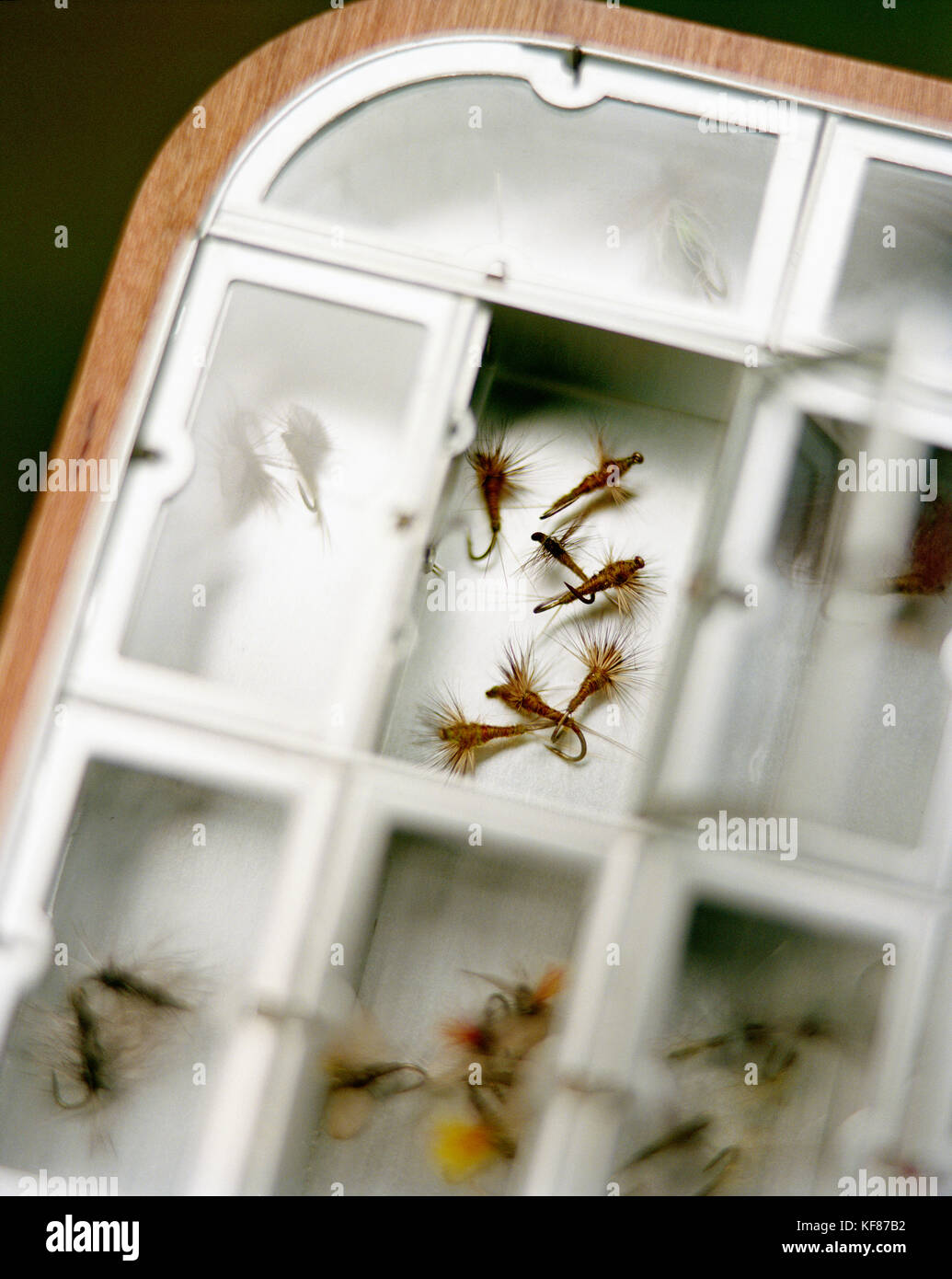 USA, Montana, a box of hand tied fly fishing flies, Mountain Sky Guest ...