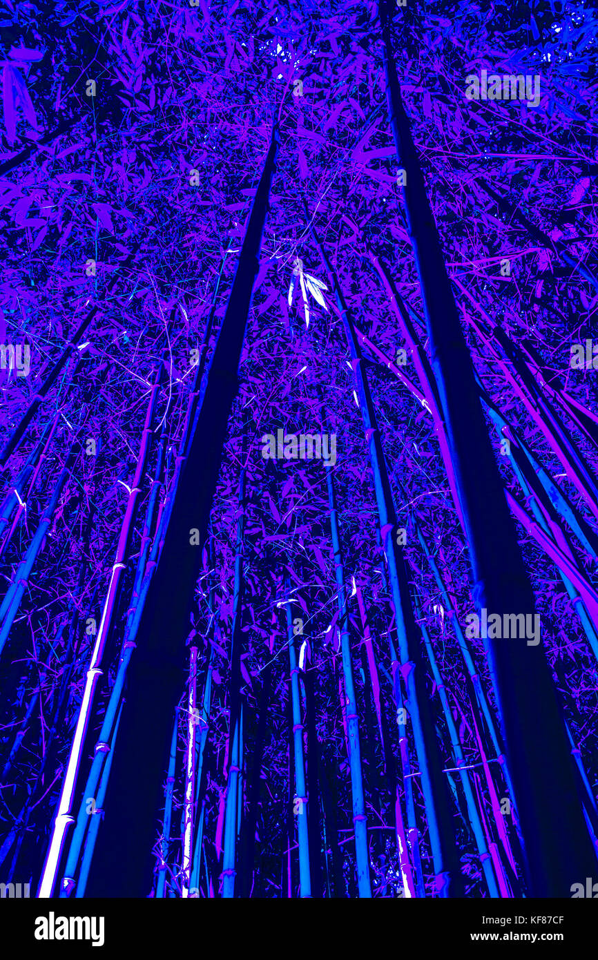 surreal gaudy atmospheric background Stock Photo - Alamy