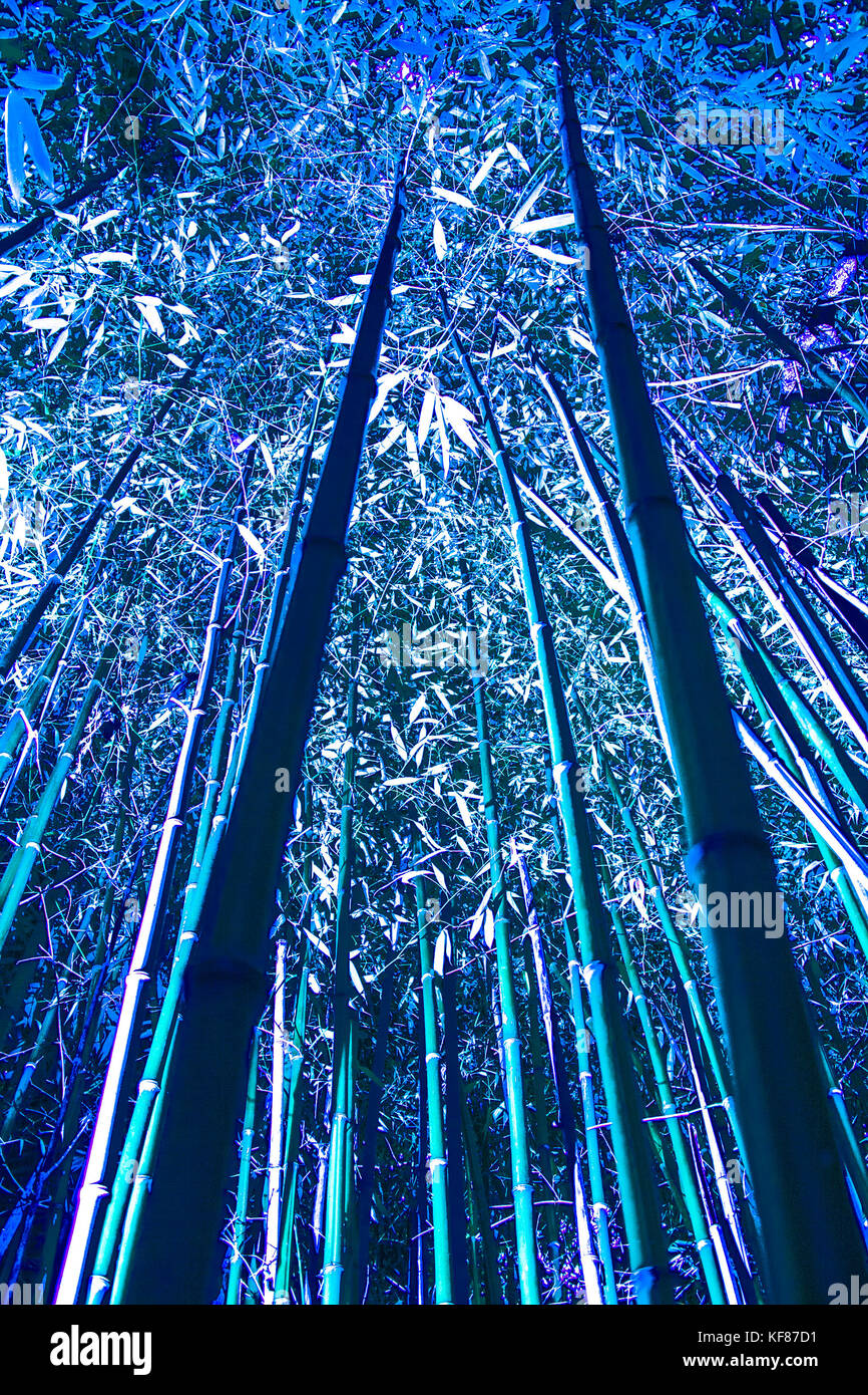 surreal gaudy atmospheric background Stock Photo - Alamy