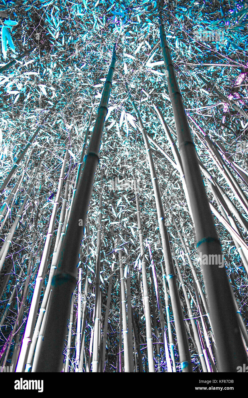 surreal gaudy 3d grunge background Stock Photo - Alamy