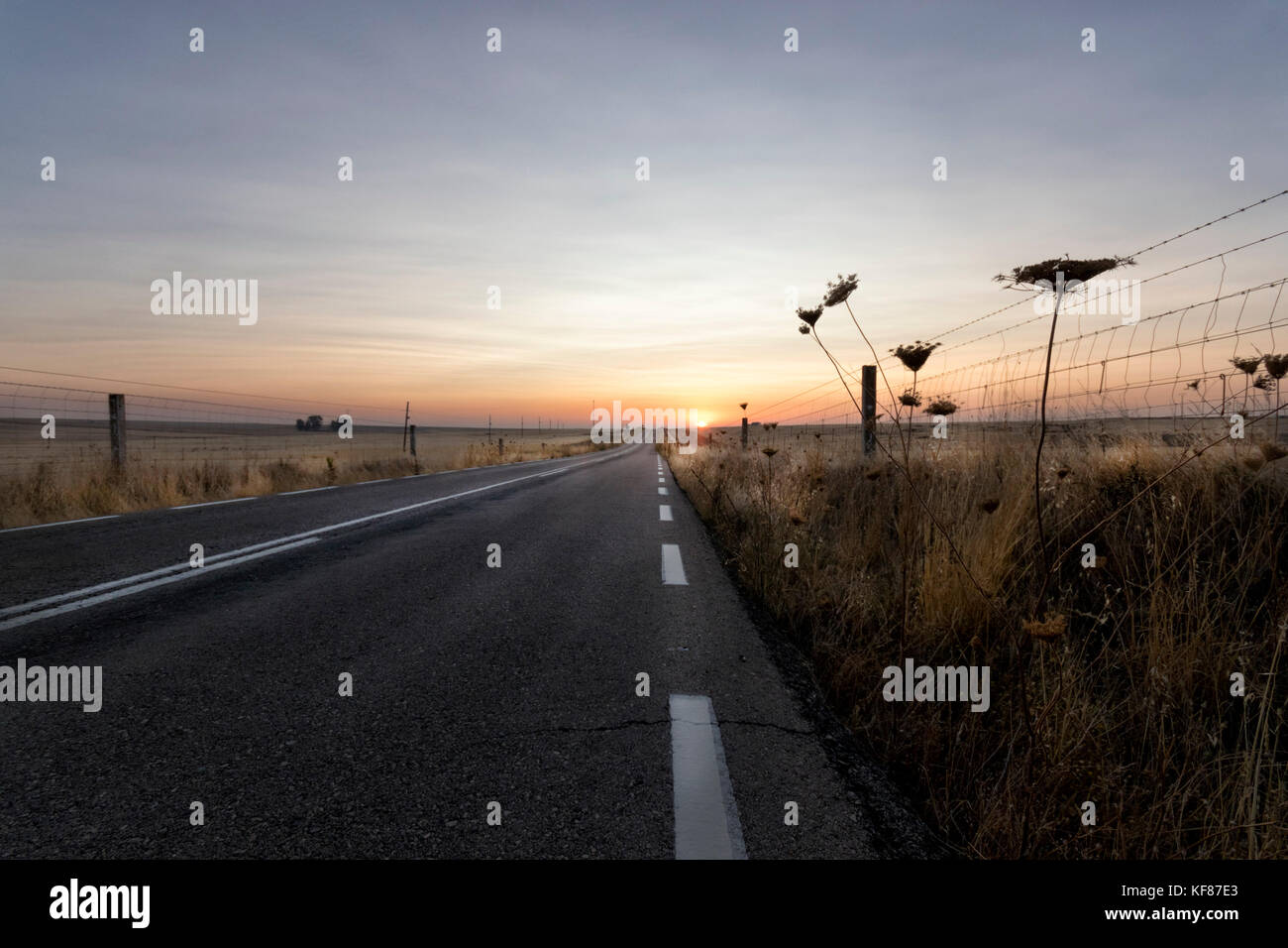 Right side of the road with a ditch full of yellow grass and the sun on ...