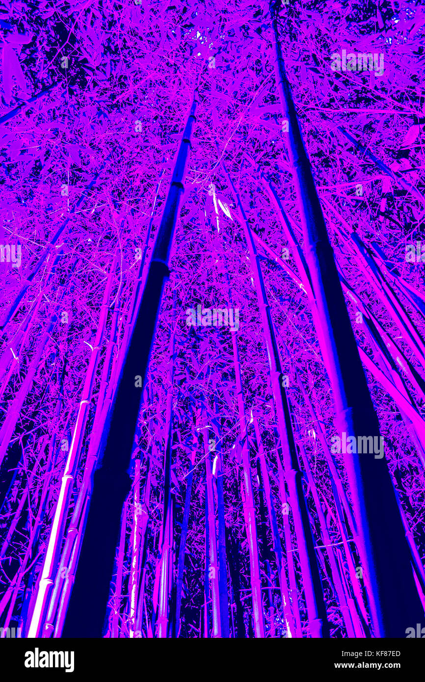 surreal gaudy atmospheric background Stock Photo - Alamy