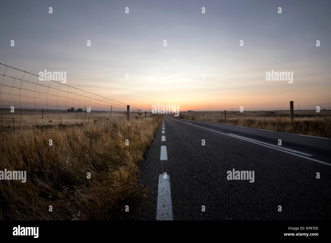 Left side of the road with a ditch full of yellow grass at sunrise ...