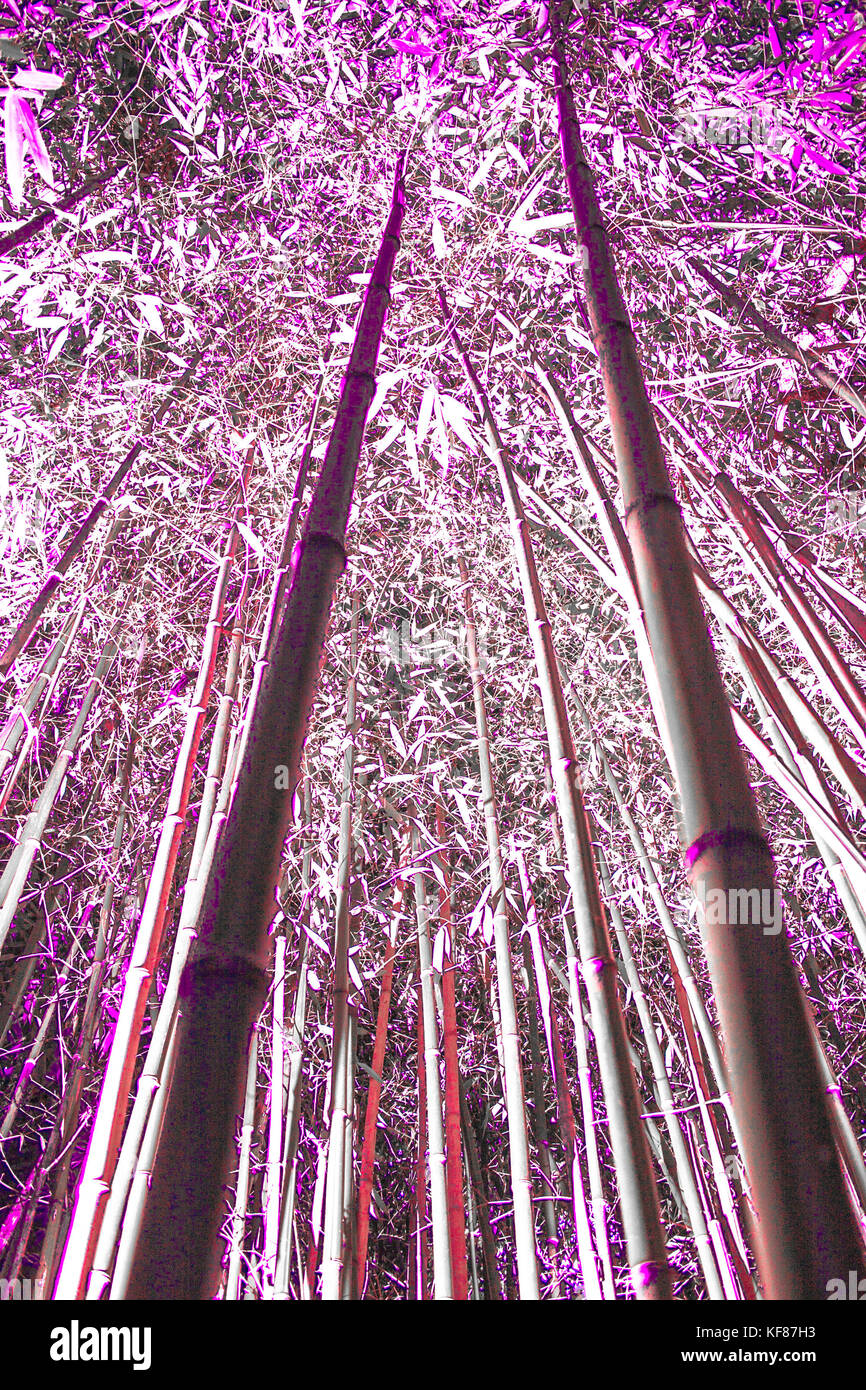 surreal gaudy atmospheric background Stock Photo - Alamy