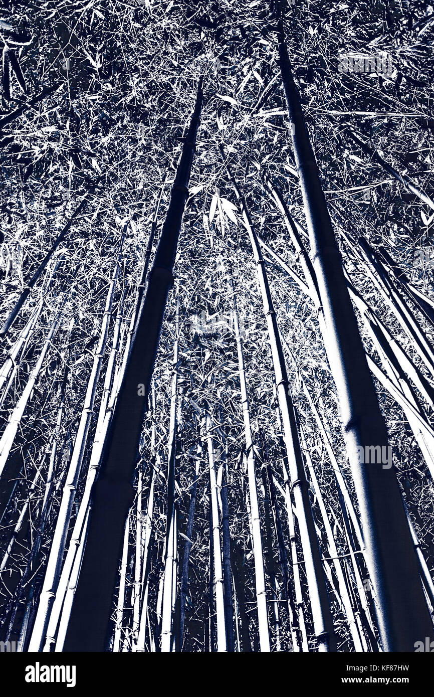 surreal gaudy atmospheric background Stock Photo - Alamy